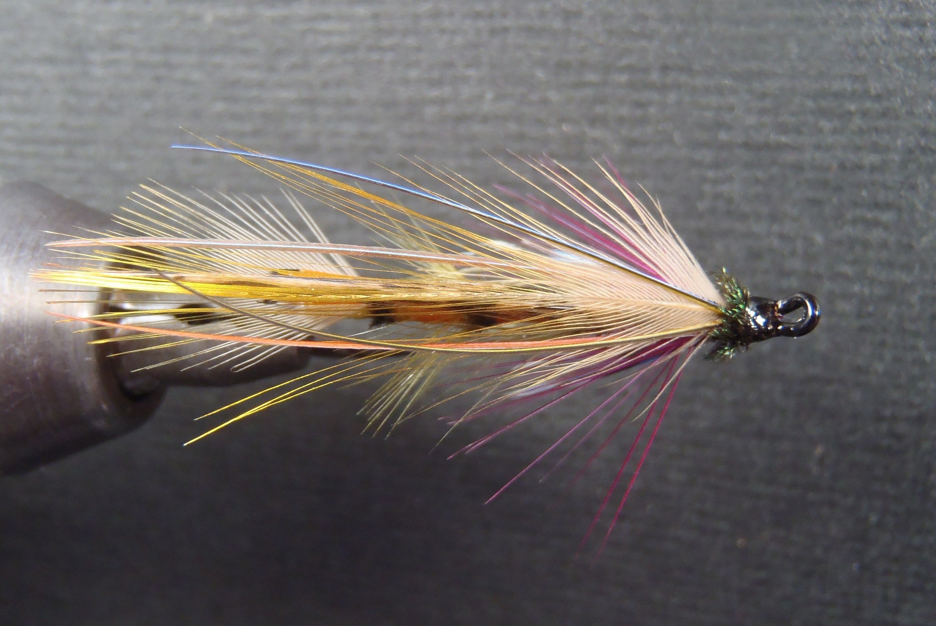 Garibaldi fly by W. Doherty: フライフィッシング探求ー大魚を求めてー